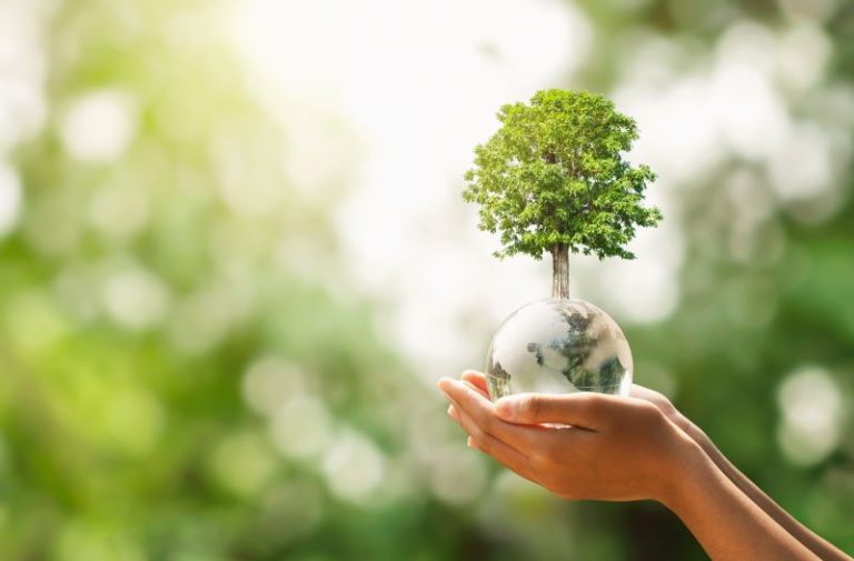 海洋プラスチックごみ問題について知ろう！持続可能な未来へのアクションとは？ - ELCOM SDGsブログ