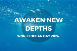 世界海洋デーは何の日？海洋汚染や海ごみ問題解決に向けて私たちができること - ELCOM SDGsブログ