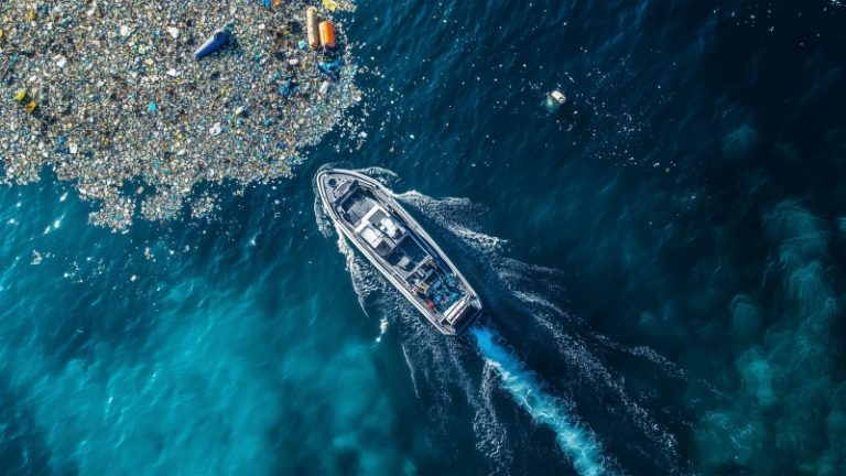 ELCOM SDGsブログ - プラスチックや環境問題、SDGsの情報を発信 - 株式会社エルコム